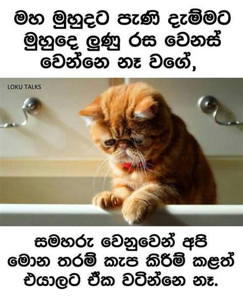 48 Sinhala Motivational Quotes Ideas Motivational Quotes Quotes