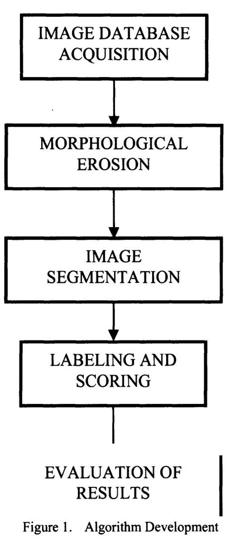 Figure 3 Computer Vision Based Automatic Scoring Of