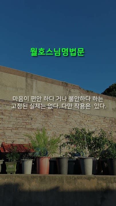 열심히 살되 머무는바 없이 애착말라 ㅣ월호스님명법문 ㅣ 마음공부 Youtube