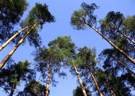 Раскопки на Месте Литейной Мастерской. Крестовый Поход — DRIVE2