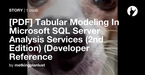 Pdf Tabular Modeling In Microsoft Sql Server Analysis Services 2nd
