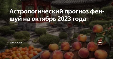 Астрологический прогноз фен шуй на октябрь 2023 года Школа Ave Дзен