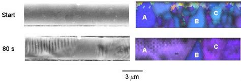 Grain Growth In Al 1si Left Sem Images Show Surface Structure And Download Scientific Diagram