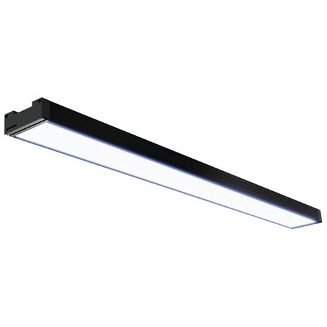 Giesemann Pulzar G 3 Tropic 695 Mm Aquasabi Aquarium Shop