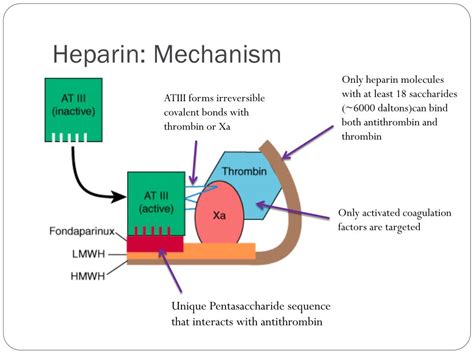 Ppt Heparin Resistance Powerpoint Presentation Free Download Id2121217