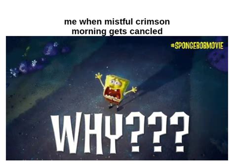 Spongebob Why Animated  Maker Piñata Farms The Best Meme