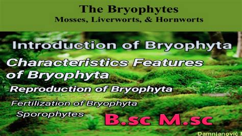 Introduction Of Bryophyta Characteristic Feature Of Bryophyta Fertilization Of Bryophyta Youtube