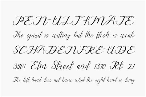 Alysa Fonts Shmonts