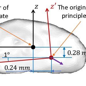 The Origin Of The Principal Axes Download Scientific Diagram