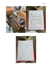 Lab Report Projectile Motion Assignment Instructions Pdf PHYS Course Hero