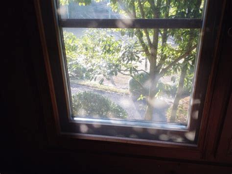 Premium Photo Reflection Of Trees On Glass Window