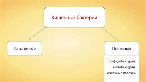 Всасывание питательных веществ в кровь презентация онлайн