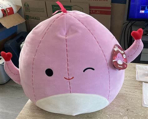 Cacey The Cactus Squishmallows 14 Valentines 2023 Cvs Exclusive New W Tags Ebay