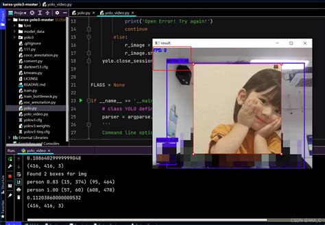 yolo3 python 基础教程 一 ：环境搭建与测试 python yolo csdn博客