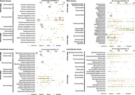 Sequence Identity Distribution Analysis Of Eukaryotic Viral Sequences