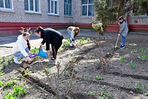 У Нікополі висадять 100 дерев і квіти на території освітніх закладів роботи вже почалися фото