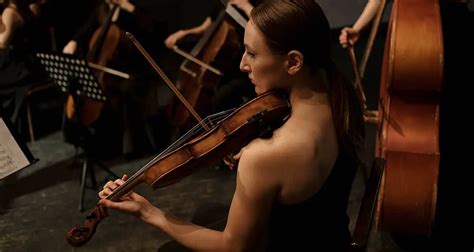 Viola Vs Violin What Is The Difference Instrumentful