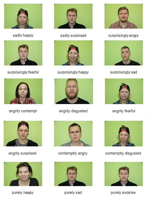 Few Samples Of The Proposed Dataset Download Scientific Diagram