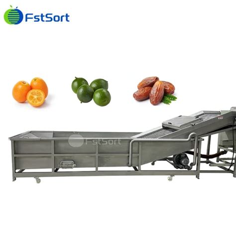 High Quality Jujube Grader Dates Washing Sorting Line Kumquat Cleaning Grading Machine Fruit