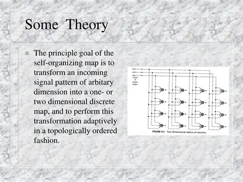 Ppt 2806 Neural Computation Self Organizing Maps Lecture 9 Powerpoint