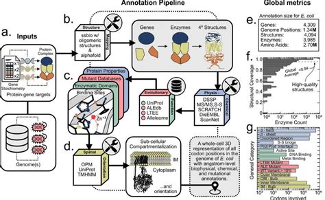 The Quaternary Structural Proteome Atlas Of A Cell Calculates The