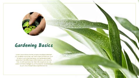Gardening Ppt Template