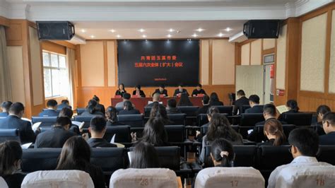共青团玉溪市委五届六次全体（扩大）会议召开工作青少年宫服务