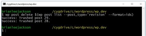 Wp Cli V2 Managing Wordpress From The Terminal