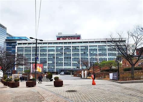 Myeongdong Cathedral Seoulshopper