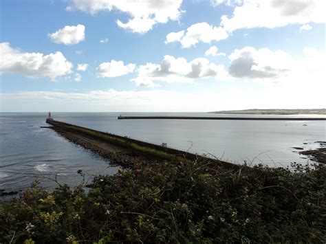 Patrick J Bittel To Newcastle And Beyond