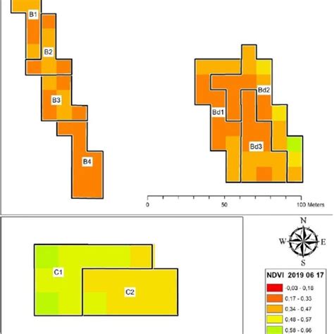 Rasters With Ndvi Values By Pixels Download Scientific Diagram