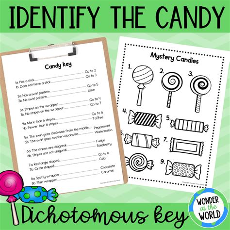 How To Teach Dichotomous Keys Successfully In Science Wonder At The World