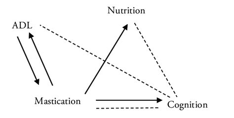 Figure E Interplay Of The Various Outcomes Arrows Indicate Download Scientific Diagram