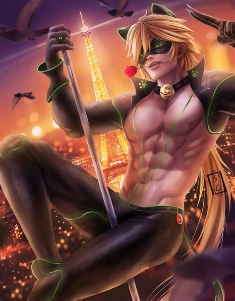 Pin De Fan Lb En Miraculous Ladibug Fotos De Cat Noir Personajes De