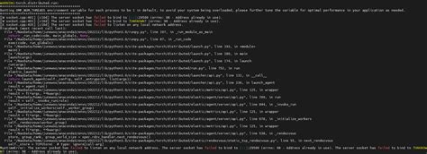 Port Problem When Using Ddp More Than 2 Experiments On Same Server