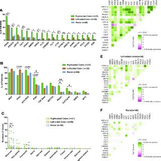 The Comparisons Of Somatic Mutation Characteristics And Mutation Types Download Scientific