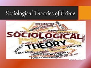 Sociological Theories Of Crime Pptx