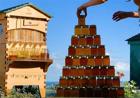 Flow Hive Review How Do They Compare SkyPerma