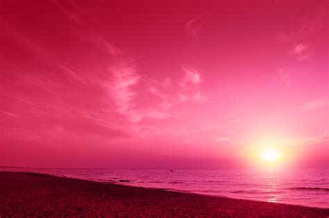 트렌디한 비바 마젠타 컬러의 이른 아침의 바다 풍경 바다 위로 일출 자연 경관 0명에 대한 스톡 사진 및 기타 이미지 0명