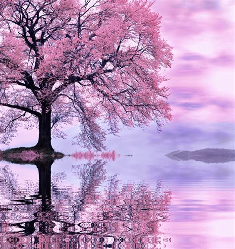 D1e59332 800×850 Paisaje De Fantasía Fotografia Paisaje
