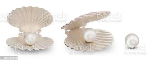 내부 진주와 바다 포탄의 집합입니다 컬렉션 보석 여성 쥬얼리 감아 구슬 배너 포스터 로고 세트 바다 포탄 빛나는 바다 진주 흰색 배경에 고립 3d 그림 진주조개에 대한 스톡