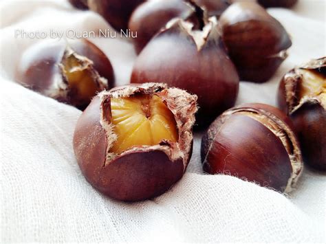 烤板栗怎么做烤板栗的做法circle圈妞妞豆果美食