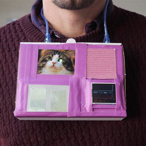 Niklas Roy True False Diy Polygraph Workshop