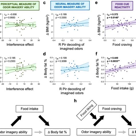 Food Cue Reactivity Mediates The Relationships Between Odor Imagery Download Scientific Diagram