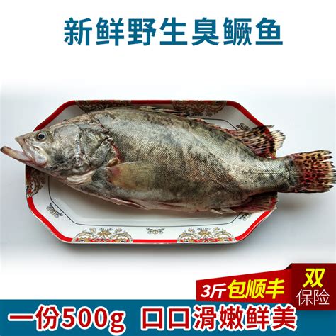 新鲜鳜鱼鲜桂花鱼顺丰包邮海鲜冷冻水产鲜活花鲫鱼野生鱼类臭鳜鱼 虎窝淘