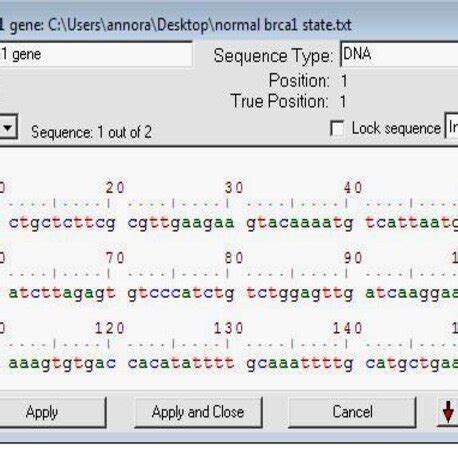 Calculating GC And AT Download Scientific Diagram