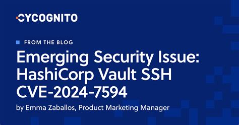 Emerging Security Issue Hashicorp Vault Ssh Cve 2024 7594 Cycognito Blog