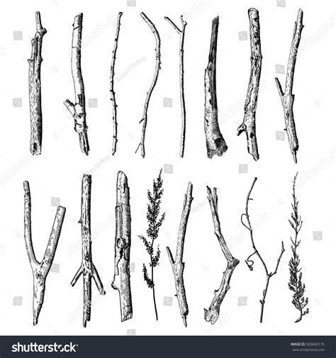 53 Broken Trees Limbs Stock Vectors Images Vector Art Shutterstock