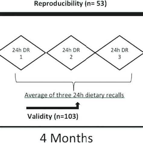 The Design Of The Validation And Reproducibility Study Among Lebanese Download Scientific