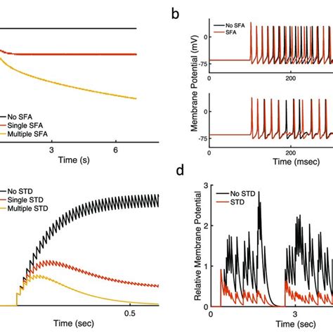 Spiking Neuron Network Model With Spike Frequency Adaptation Sfa And